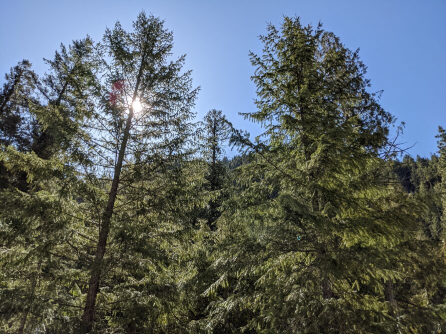 Home - Alpine RV Park & Campground